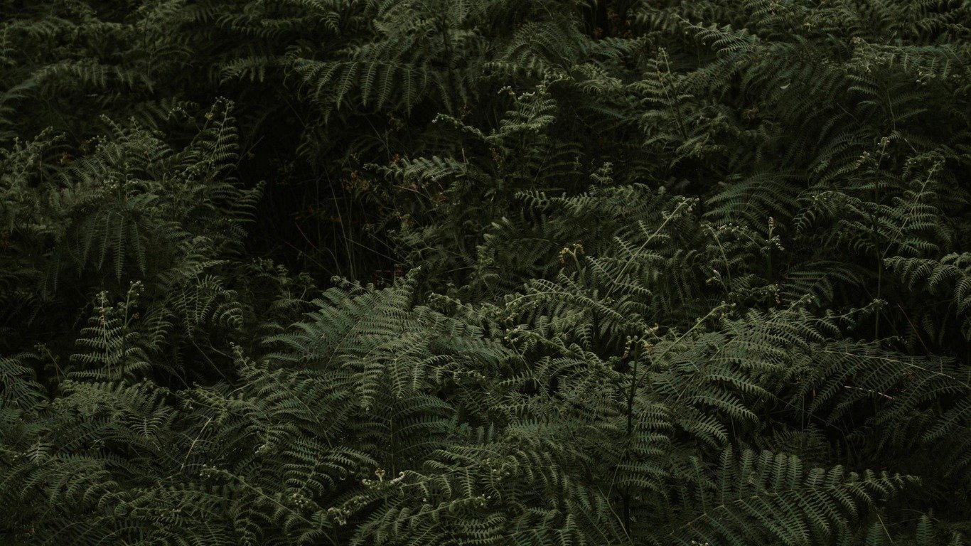 Why Being Still Changes Everything | Quiet Retreats